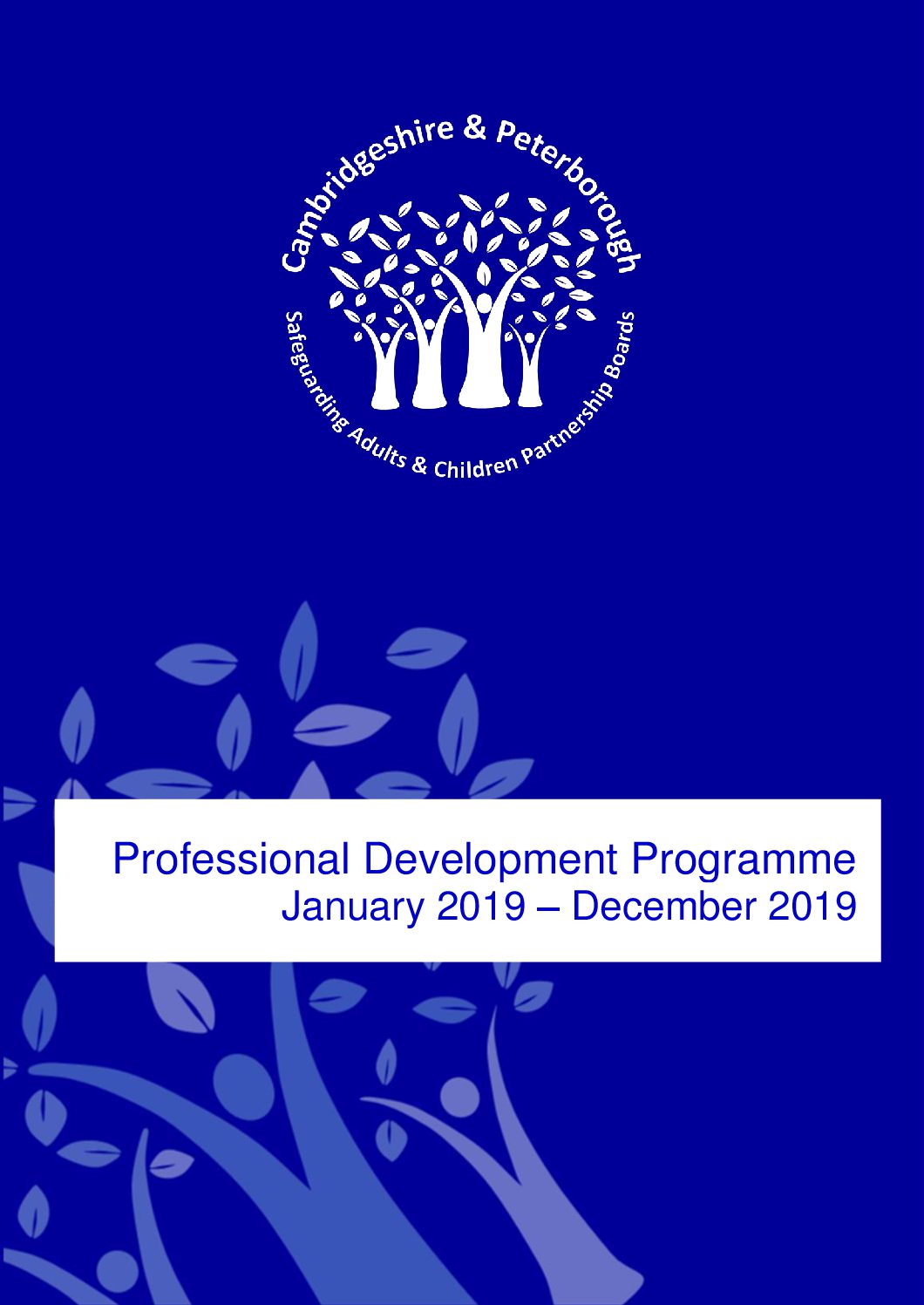 LSCB-Training-Programme-Jan-dec-2019 | Cambridgeshire and Peterborough ...