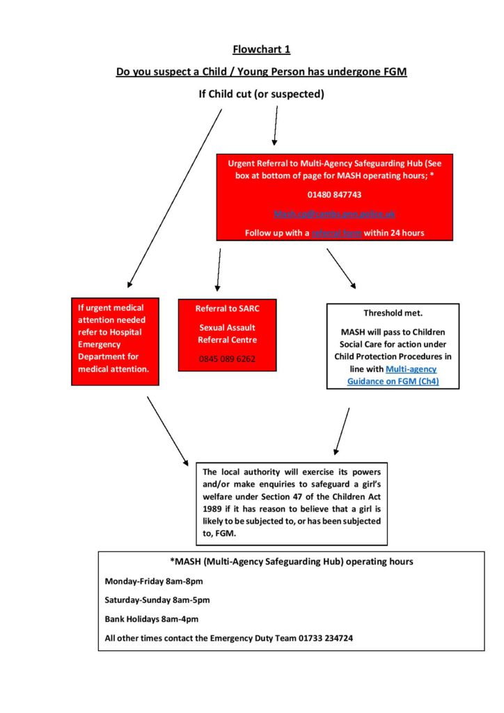 Practice Guidance for practitioners on Female Genital Mutilation (FGM ...